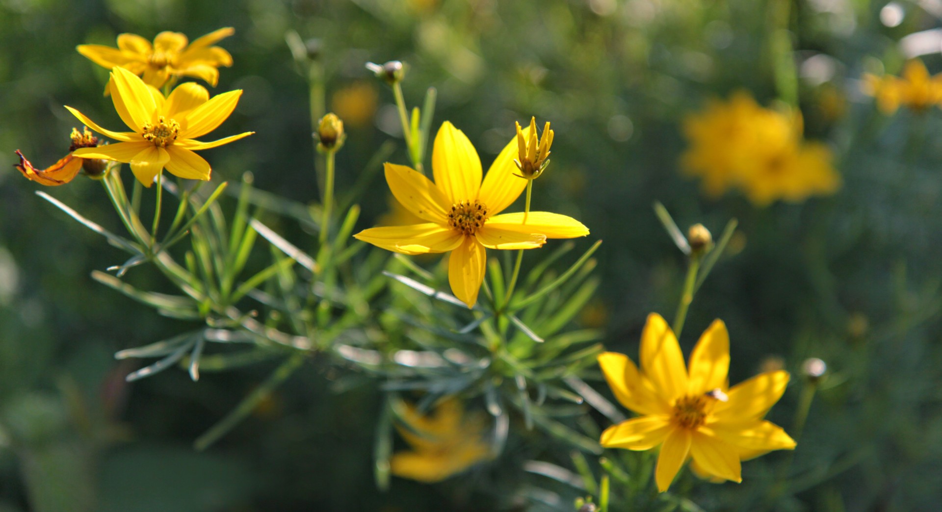 Fünf Weisheitsbücher, kurz vorgestellt | Benjamin Stocker-Zaugg